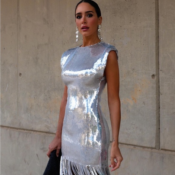 Zara | Dresses | Zara Fringed Sequin Mini Dress | Poshmark